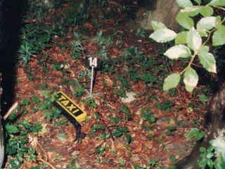 ZDF Programm heute / zweites deutsches fernsehen